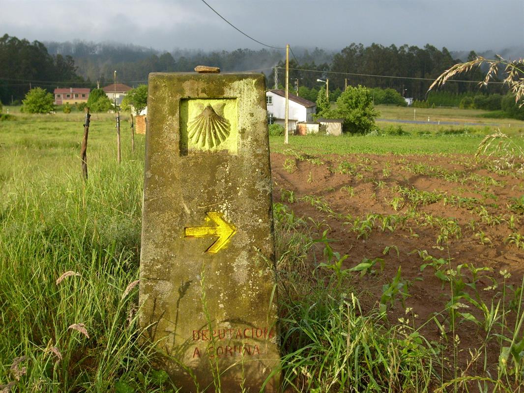 Le Chemin de Compostelle