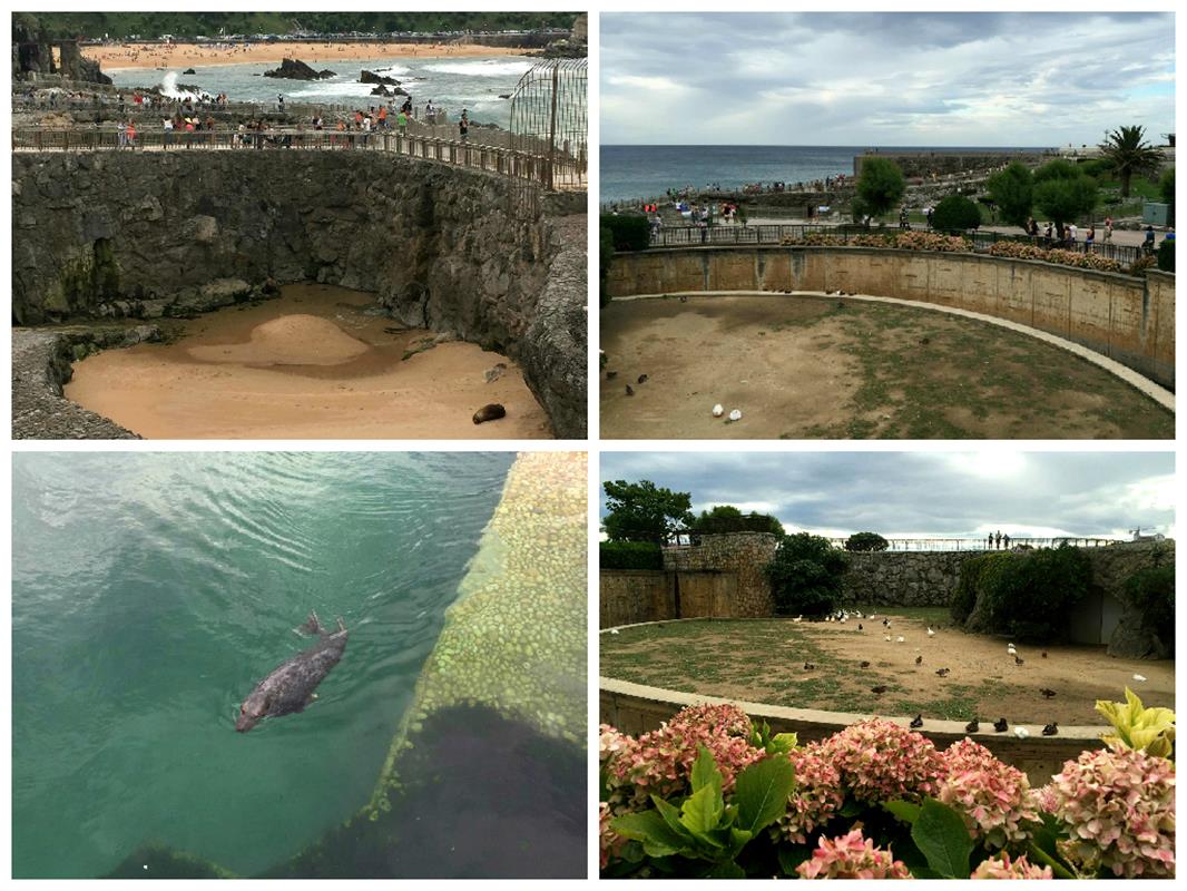 Une journée au parc de la Magdalena à Santander