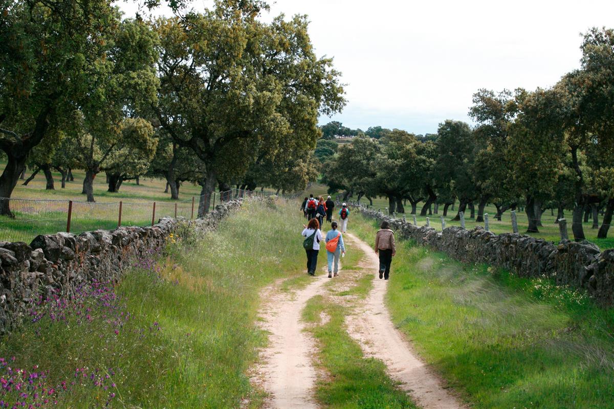 Esplora i migliori percorsi escursionistici autunnali dell'Andalusia