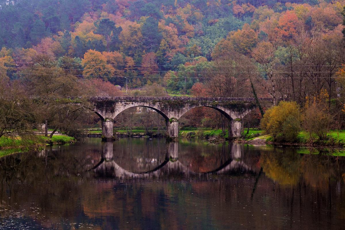 Discovering the Ribeiro region (part I)