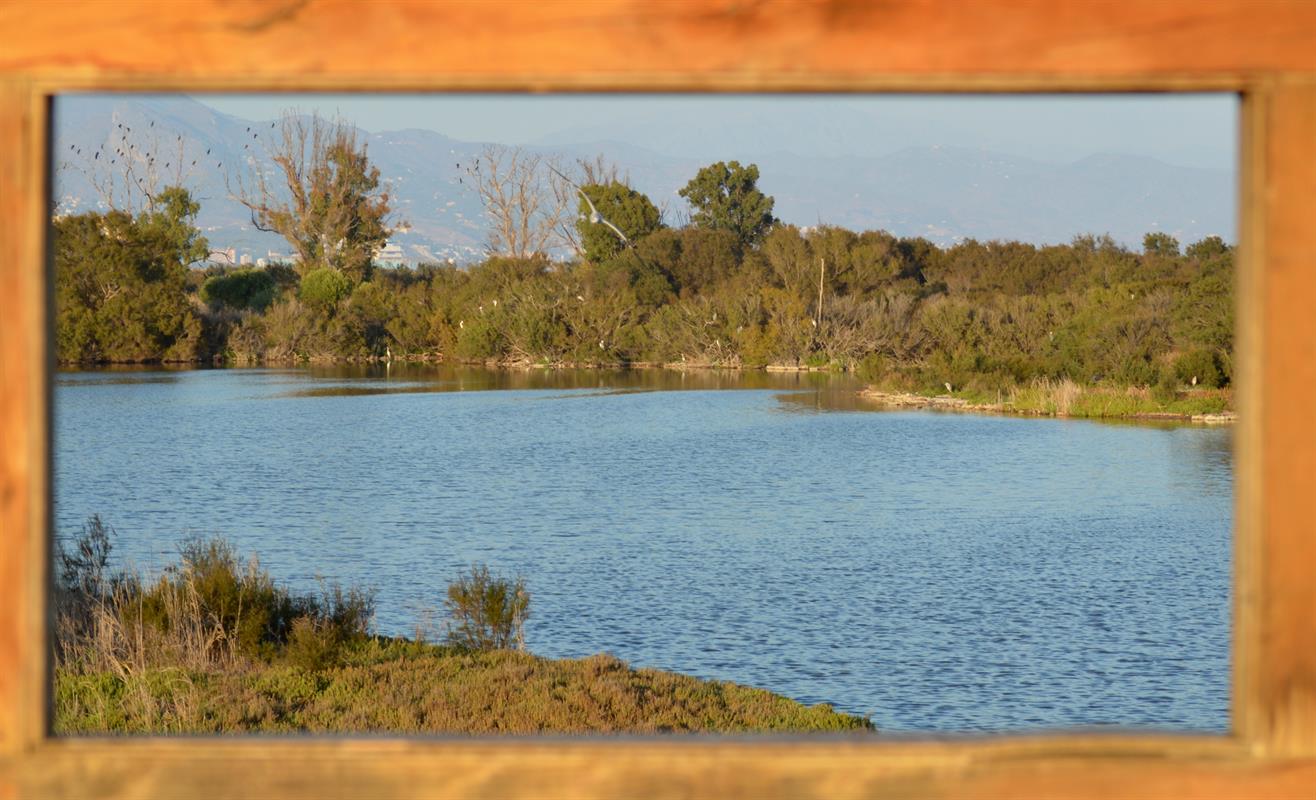 Guadalhorce river estuary natural area, Malaga