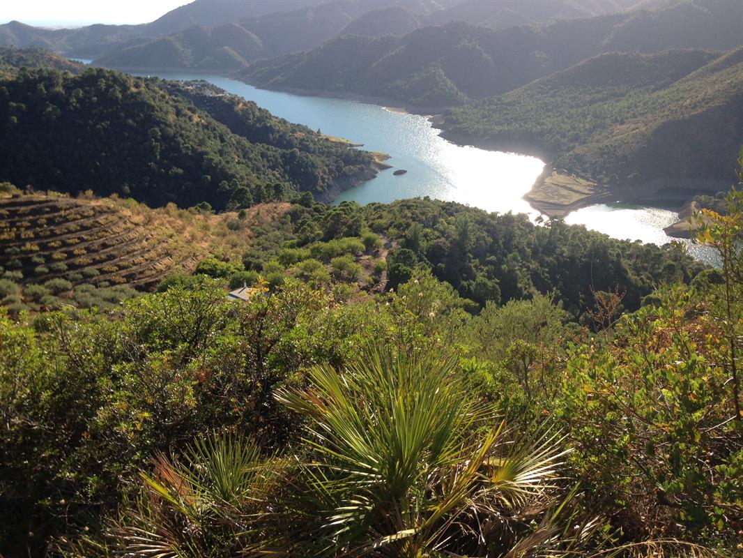 Istán, en hvid landsby i Andalusien