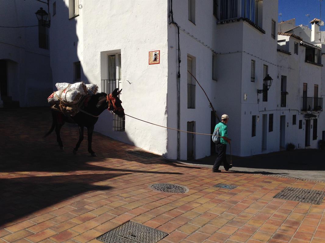 Istán, en hvid landsby i Andalusien