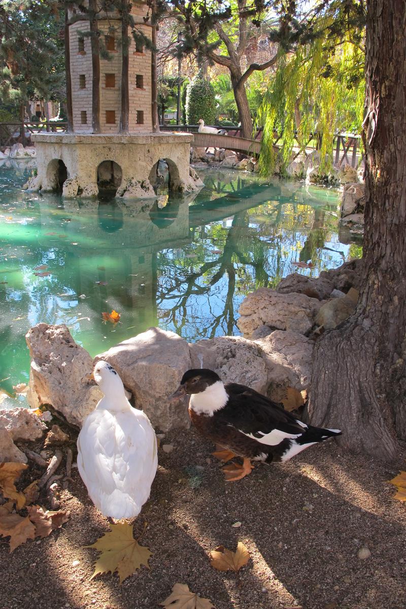 Discovering Alcoy's rich history