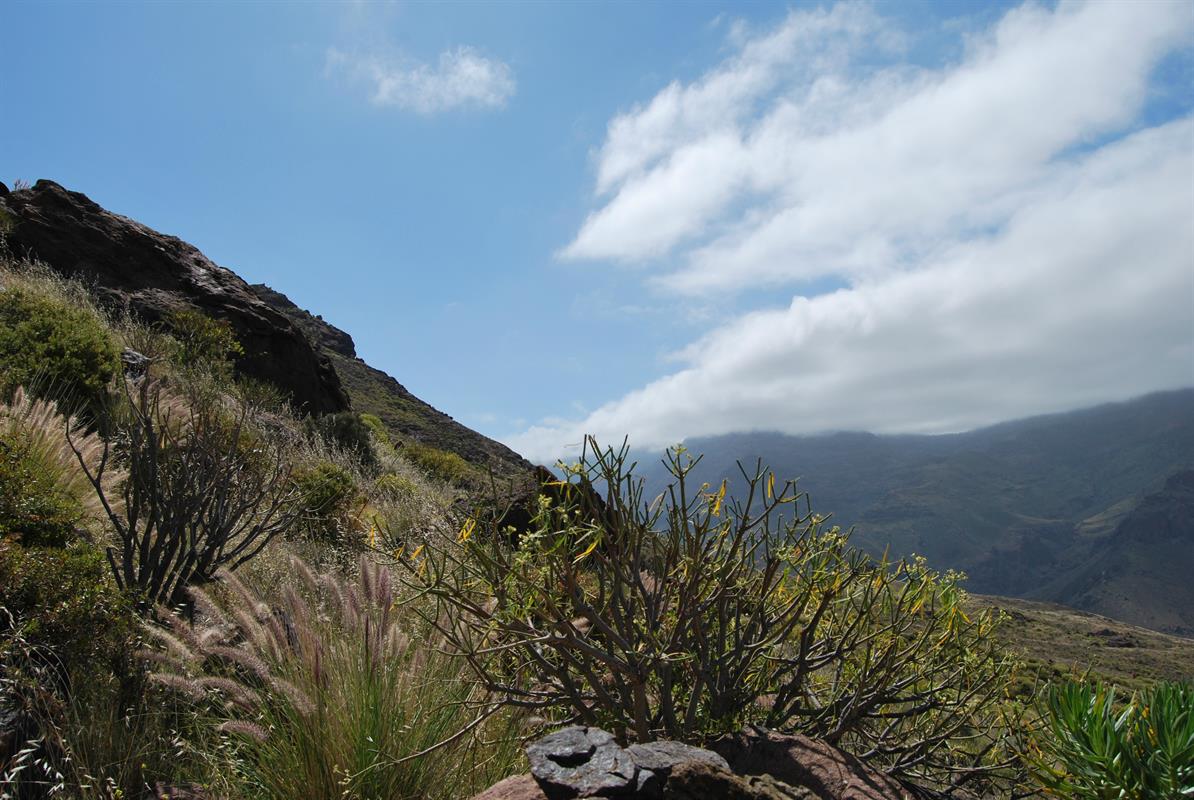 Andén Verde, cliffwalking on Gran Canaria